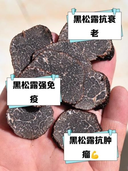 黑松露怎么保存_黑松露多少钱一斤-第3张图片-山城妙识 黑松露怎么保存_黑松露多少钱一斤-第3张图片-山城妙识