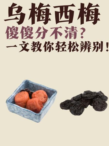 乌梅图片真假对比_乌梅鉴别方法有哪些-第1张图片-山城妙识