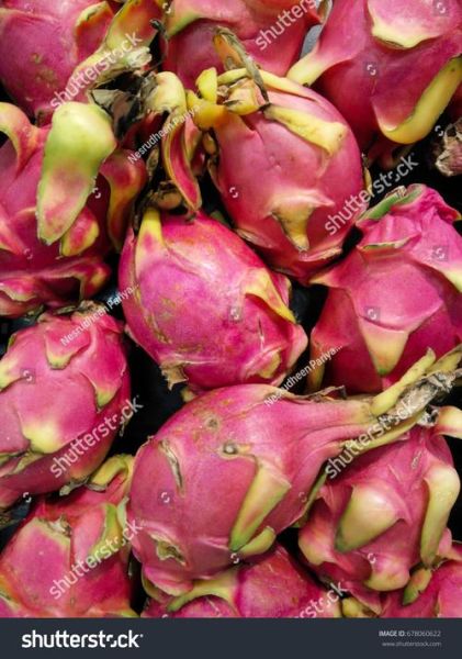 dragon_fruit_benefits_for_skin-第3张图片-山城妙识 dragon_fruit_benefits_for_skin-第3张图片-山城妙识