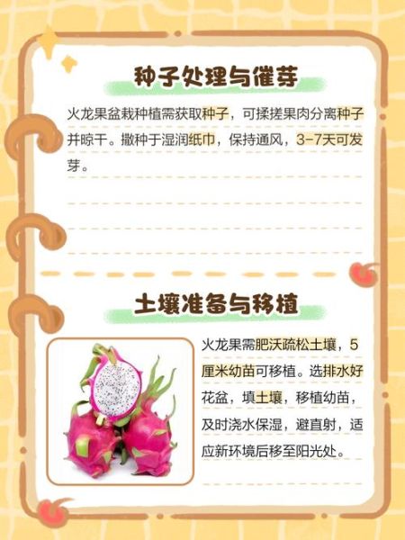 火龙果怎么种_火龙果种植方法图解-第1张图片-山城妙识 火龙果怎么种_火龙果种植方法图解-第1张图片-山城妙识