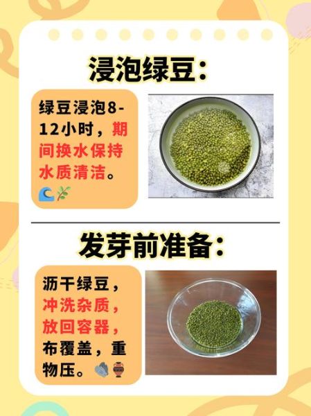 在家怎么生黄豆芽_生黄豆芽的详细步骤-第1张图片-山城妙识 在家怎么生黄豆芽_生黄豆芽的详细步骤-第1张图片-山城妙识