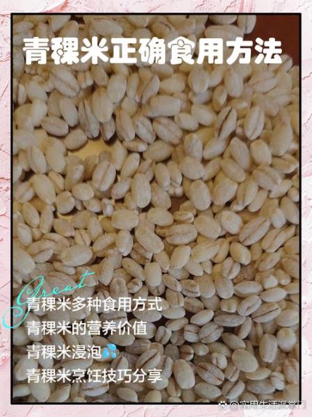 青稞米图片_青稞米怎么做好吃-第1张图片-山城妙识 青稞米图片_青稞米怎么做好吃-第1张图片-山城妙识