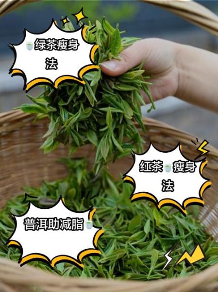 哪种绿茶减肥效果好_绿茶减肥排行榜-第1张图片-山城妙识 哪种绿茶减肥效果好_绿茶减肥排行榜-第1张图片-山城妙识