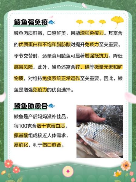 鲮鱼刺多吗_鲮鱼适合宝宝吃吗-第2张图片-山城妙识 鲮鱼刺多吗_鲮鱼适合宝宝吃吗-第2张图片-山城妙识