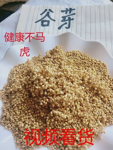 谷芽和稻芽的区别_谷芽与稻芽哪个更好-第1张图片-山城妙识 谷芽和稻芽的区别_谷芽与稻芽哪个更好-第1张图片-山城妙识