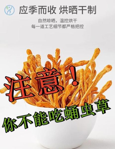 蝉蛹草的功效与作用_蝉蛹草的禁忌有哪些-第2张图片-山城妙识 蝉蛹草的功效与作用_蝉蛹草的禁忌有哪些-第2张图片-山城妙识