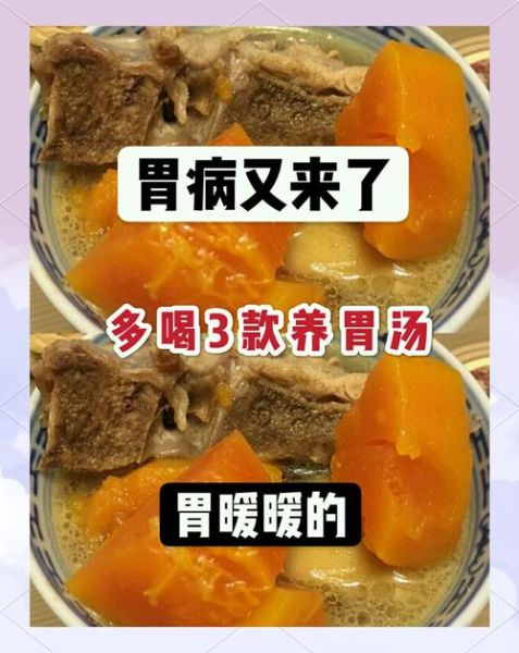 养胃食品有哪些_最好的养胃方法视频-第2张图片-山城妙识 养胃食品有哪些_最好的养胃方法视频-第2张图片-山城妙识
