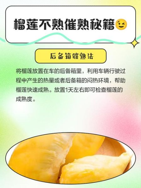 榴莲催熟剂怎么用_安全吗-第2张图片-山城妙识 榴莲催熟剂怎么用_安全吗-第2张图片-山城妙识