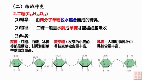 麦芽糖水解方程式_麦芽糖水解产物是什么-第1张图片-山城妙识