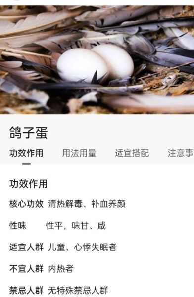 鸽子蛋怎么吃最好_鸽子蛋的营养价值及做法-第1张图片-山城妙识 鸽子蛋怎么吃最好_鸽子蛋的营养价值及做法-第1张图片-山城妙识