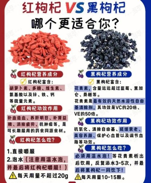 黑枸杞的功效与作用有哪些_黑枸杞的禁忌人群-第3张图片-山城妙识 黑枸杞的功效与作用有哪些_黑枸杞的禁忌人群-第3张图片-山城妙识