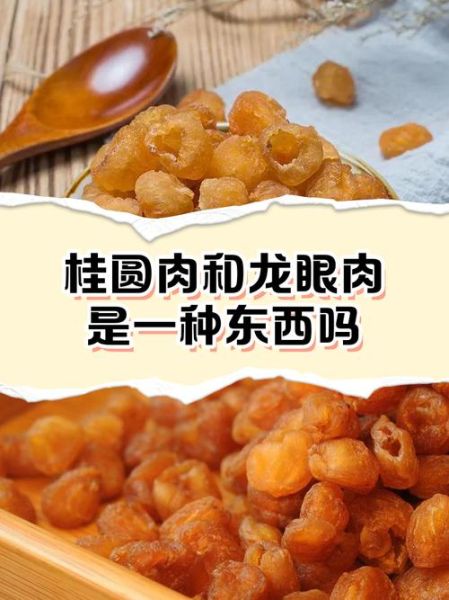 龙眼肉和桂圆肉的区别_哪个更好-第1张图片-山城妙识