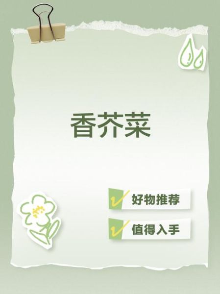 香芥菜是什么_香芥菜怎么吃-第2张图片-山城妙识