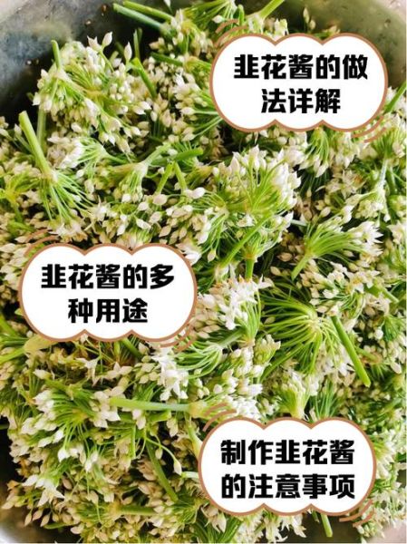 韭花怎么腌制好吃_韭花腌制配料比例-第1张图片-山城妙识 韭花怎么腌制好吃_韭花腌制配料比例-第1张图片-山城妙识
