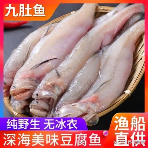 虾潺豆腐怎么做_虾潺豆腐的营养价值-第3张图片-山城妙识
