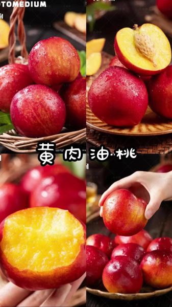 黄油桃的营养价值_黄油桃热量高吗-第3张图片-山城妙识 黄油桃的营养价值_黄油桃热量高吗-第3张图片-山城妙识