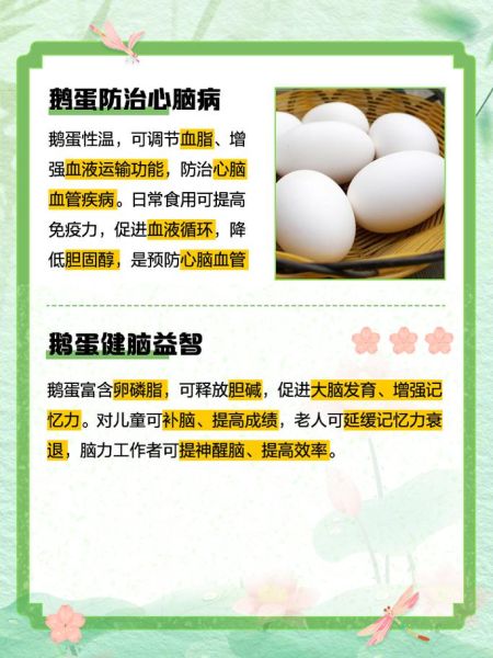 鹅蛋的药用价值_鹅蛋的功效与作用-第1张图片-山城妙识