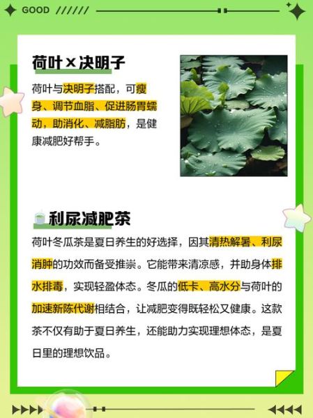 荷叶茶配方_荷叶茶怎么喝减肥-第3张图片-山城妙识