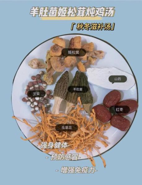 松茸炖鸡松茸什么时候下锅_松茸下锅最佳时间-第1张图片-山城妙识 松茸炖鸡松茸什么时候下锅_松茸下锅最佳时间-第1张图片-山城妙识