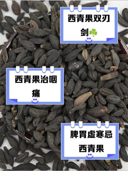 青果是什么_青果的功效与作用-第2张图片-山城妙识