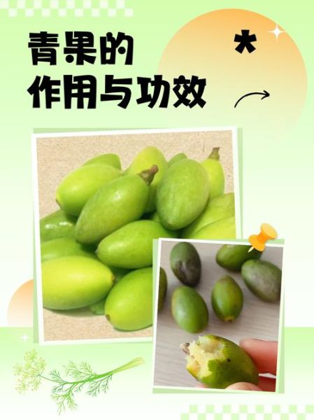 青果是什么_青果的功效与作用-第1张图片-山城妙识