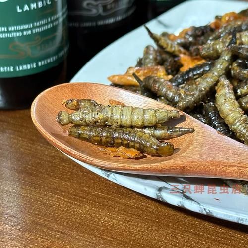 龙虱幼虫长什么样_龙虱幼虫吃什么-第2张图片-山城妙识 龙虱幼虫长什么样_龙虱幼虫吃什么-第2张图片-山城妙识