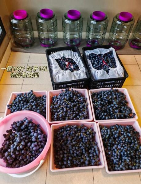 自酿葡萄酒煮沸后还能喝吗_如何长期保存-第1张图片-山城妙识 自酿葡萄酒煮沸后还能喝吗_如何长期保存-第1张图片-山城妙识