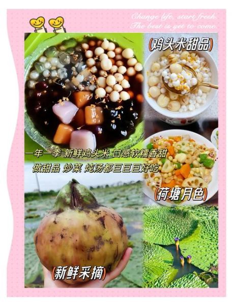 鸡头米怎么做好吃_鸡头米做法图片步骤详解-第1张图片-山城妙识 鸡头米怎么做好吃_鸡头米做法图片步骤详解-第1张图片-山城妙识