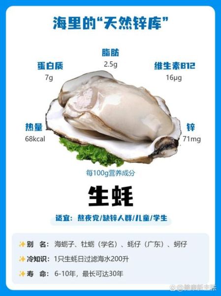 生蚝有什么功效_生蚝的营养价值-第1张图片-山城妙识 生蚝有什么功效_生蚝的营养价值-第1张图片-山城妙识
