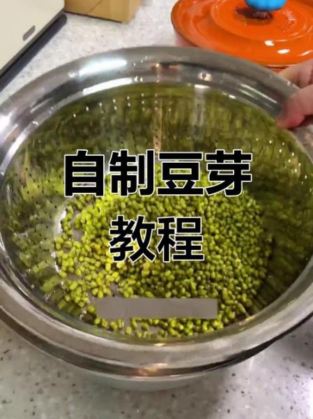 青豆芽怎么发_青豆芽的做法大全-第1张图片-山城妙识 青豆芽怎么发_青豆芽的做法大全-第1张图片-山城妙识