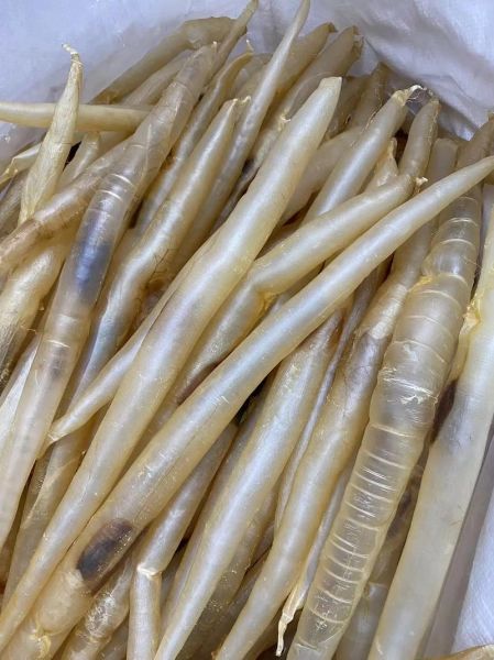 鱼膘怎么吃_鱼膘的功效与作用-第3张图片-山城妙识 鱼膘怎么吃_鱼膘的功效与作用-第3张图片-山城妙识