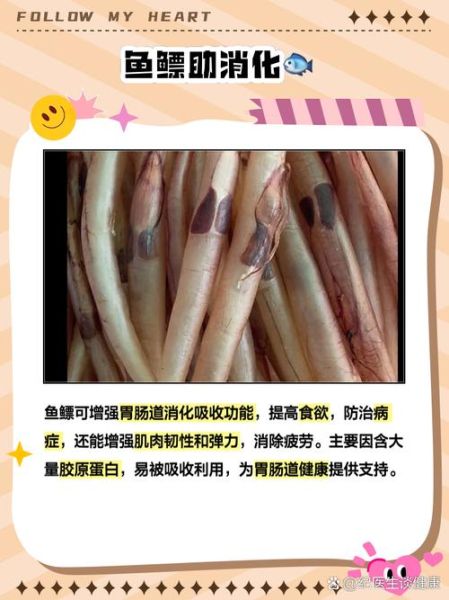 鱼膘怎么吃_鱼膘的功效与作用-第1张图片-山城妙识 鱼膘怎么吃_鱼膘的功效与作用-第1张图片-山城妙识