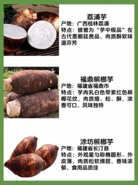 芋头有几种种类_常见芋头品种图片对比-第1张图片-山城妙识