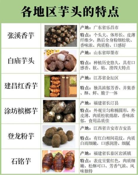芋头有几种种类_常见芋头品种图片对比-第2张图片-山城妙识