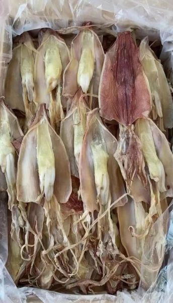 鱿鱼干怎么泡发_鱿鱼干怎么保存-第2张图片-山城妙识 鱿鱼干怎么泡发_鱿鱼干怎么保存-第2张图片-山城妙识