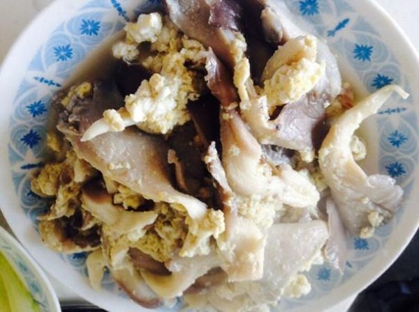 鲜蘑炒鸡蛋会不会中毒_鲜蘑炒鸡蛋中毒原因-第2张图片-山城妙识 鲜蘑炒鸡蛋会不会中毒_鲜蘑炒鸡蛋中毒原因-第2张图片-山城妙识