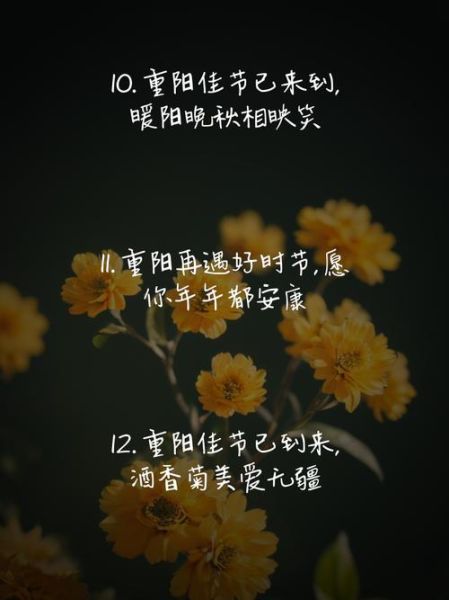 重阳节佳句有哪些_如何写出感人重阳节文案-第3张图片-山城妙识 重阳节佳句有哪些_如何写出感人重阳节文案-第3张图片-山城妙识