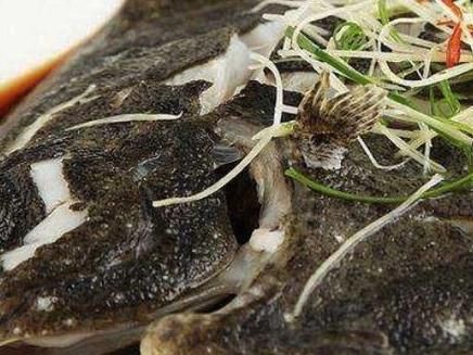 活的多宝鱼多少钱一斤_多宝鱼价格行情-第3张图片-山城妙识 活的多宝鱼多少钱一斤_多宝鱼价格行情-第3张图片-山城妙识