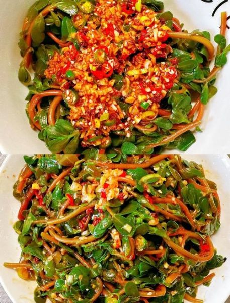 马齿苋怎么吃_马齿苋的吃法大全-第2张图片-山城妙识 马齿苋怎么吃_马齿苋的吃法大全-第2张图片-山城妙识