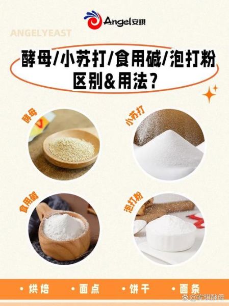 酵母和泡打粉怎么和面_比例是多少-第2张图片-山城妙识 酵母和泡打粉怎么和面_比例是多少-第2张图片-山城妙识