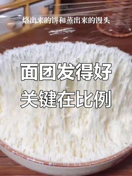 酵母和泡打粉怎么和面_比例是多少-第3张图片-山城妙识 酵母和泡打粉怎么和面_比例是多少-第3张图片-山城妙识