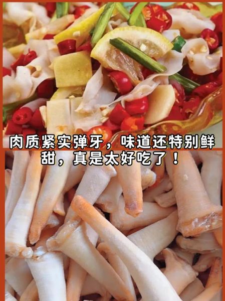 象拔蚌怎么吃_象拔蚌刺身做法-第3张图片-山城妙识 象拔蚌怎么吃_象拔蚌刺身做法-第3张图片-山城妙识