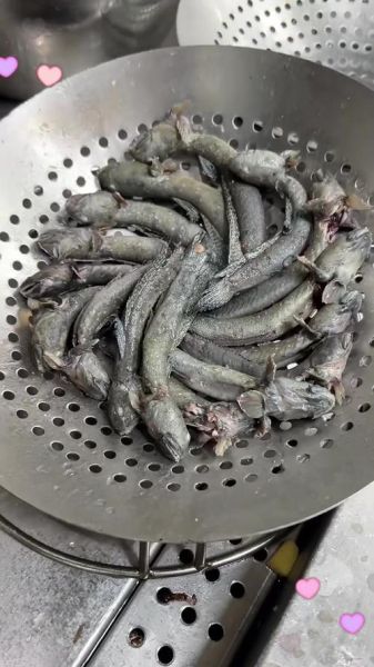 跳鱼图片高清_跳鱼怎么拍才清晰-第2张图片-山城妙识 跳鱼图片高清_跳鱼怎么拍才清晰-第2张图片-山城妙识