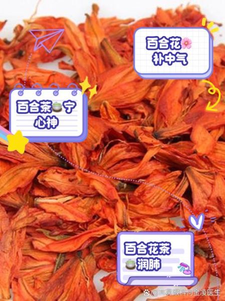 百合花的功效与作用_百合花怎么吃效果最好-第1张图片-山城妙识 百合花的功效与作用_百合花怎么吃效果最好-第1张图片-山城妙识