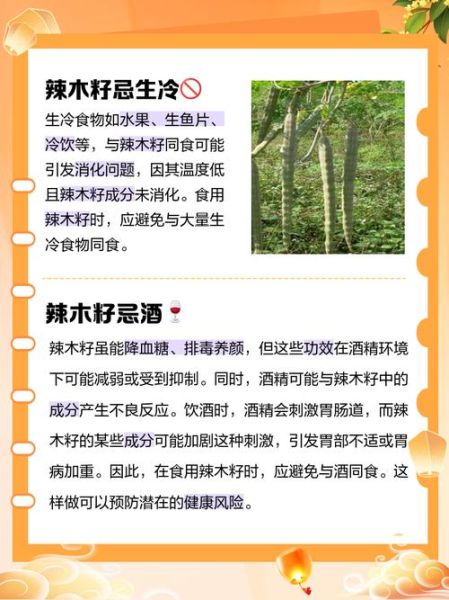 辣木籽不能和什么一起吃_辣木籽禁忌食物有哪些-第1张图片-山城妙识 辣木籽不能和什么一起吃_辣木籽禁忌食物有哪些-第1张图片-山城妙识