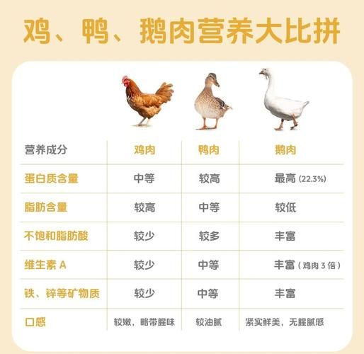 鹅肉热量高还是鸡肉_减肥选哪个-第1张图片-山城妙识 鹅肉热量高还是鸡肉_减肥选哪个-第1张图片-山城妙识