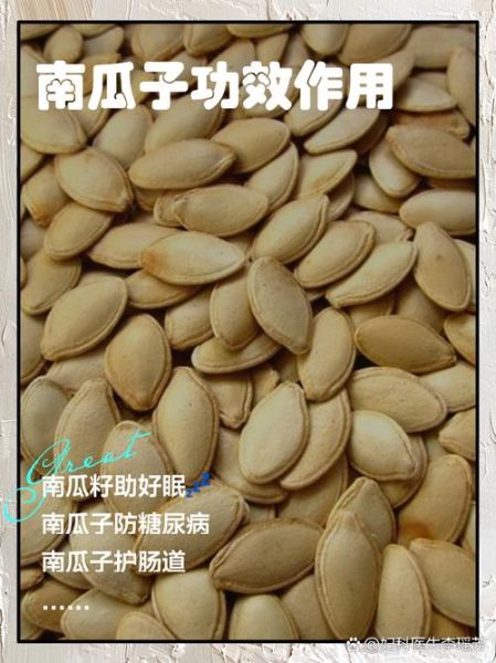 白瓜子与南瓜子的功效区别_哪个更适合你-第1张图片-山城妙识