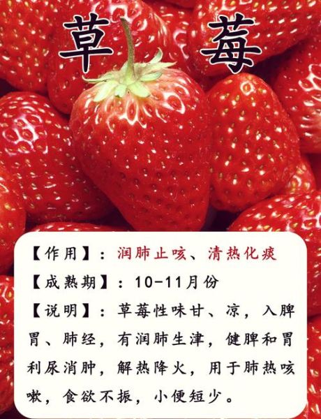 肝火旺吃什么食物好得快_肝火旺吃什么水果降火-第3张图片-山城妙识