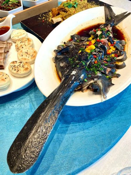 鸭嘴鱼吃什么食物_鸭嘴鱼饲料配方-第3张图片-山城妙识 鸭嘴鱼吃什么食物_鸭嘴鱼饲料配方-第3张图片-山城妙识