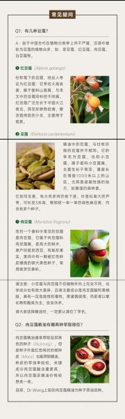 豆蔻的功效与作用_豆蔻怎么吃效果最好-第1张图片-山城妙识 豆蔻的功效与作用_豆蔻怎么吃效果最好-第1张图片-山城妙识